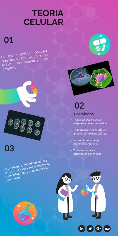 teoria celular