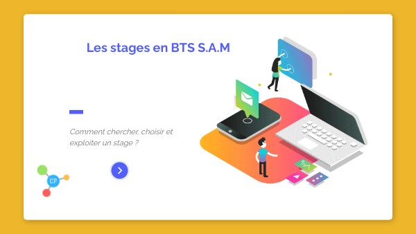 Les stages en BTS SAM | Genially