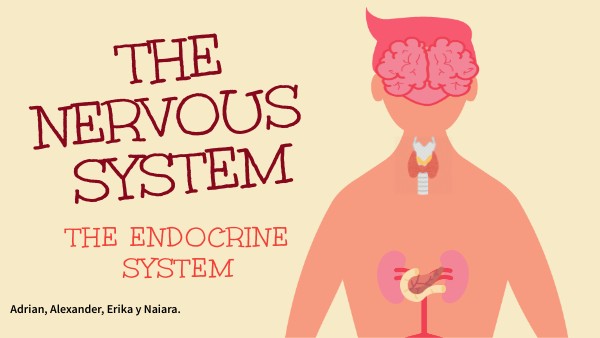Nervous/Endocrine Systems