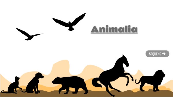Exposé Animalia | Genially