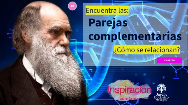 Parejas complementarias | Genially