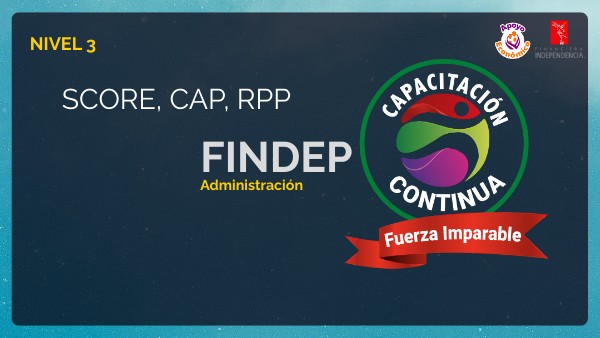 N4 S19 AEF SCORE CAP y RPP | Genially