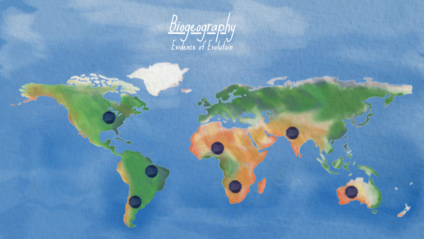 Biogeography Evidence | Genially