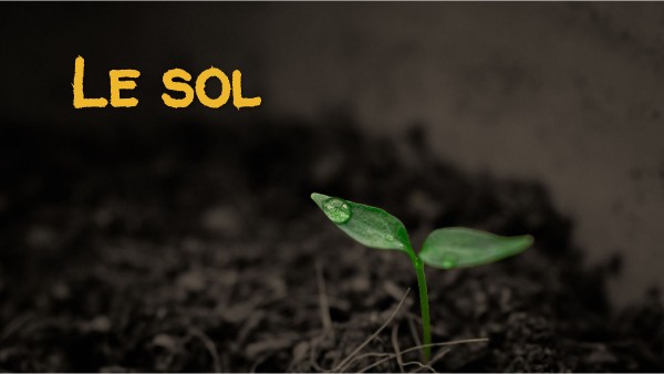 le sol 2d | Genially