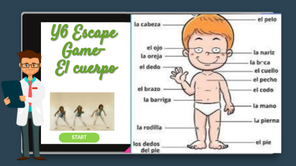 Y6 The Body- el cuerpo