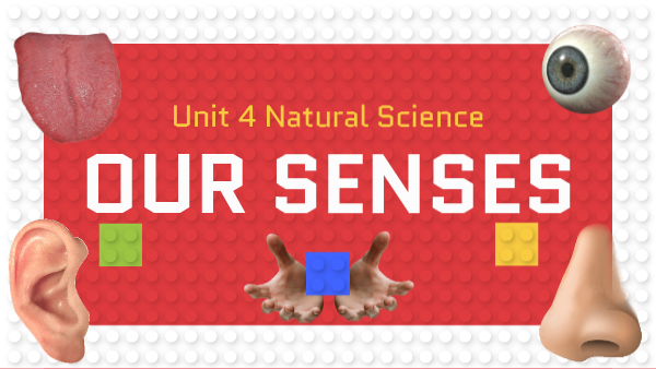 3º Unit 4 Our Senses | Genially