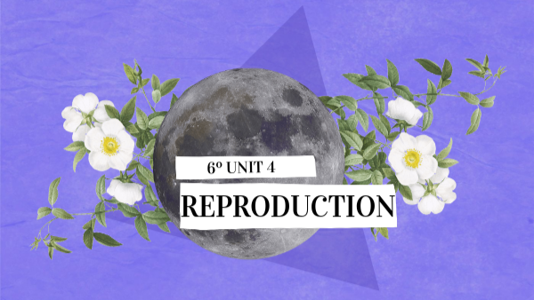 6º Unit 4 Reproduction