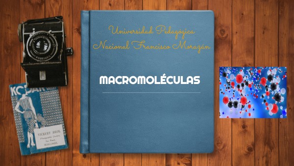 TIPOS DE MACROMOLÉCULAS | Genially