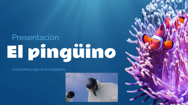TEXTO EXPOSITIVO: EL PINGÜINO | Genially