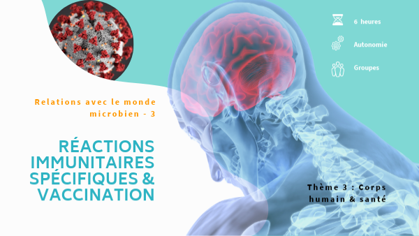 3e - réactions immuno spé