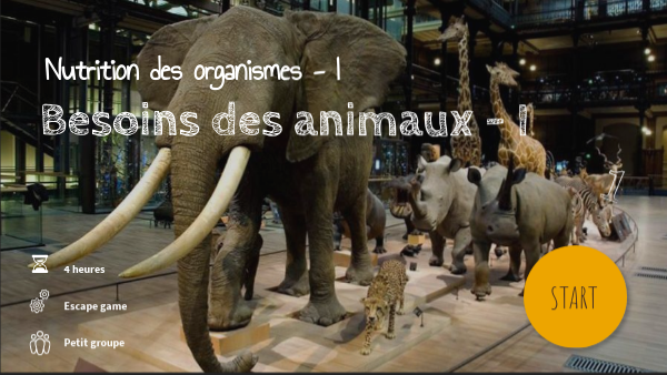 5e - Besoins animaux | Genially