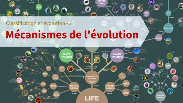 3e-mécanismes évolution | Genially