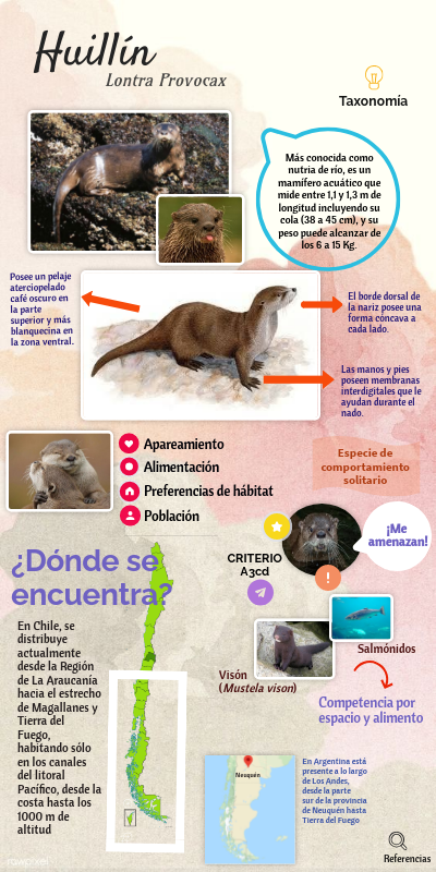 infografia 1 huillin