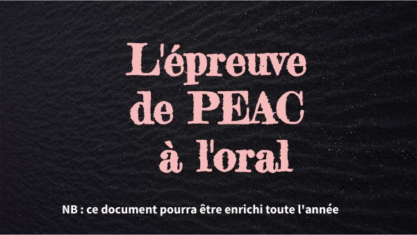 salle 119 le PEAC en Histoire
