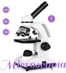 Microscopía óptica | Genially