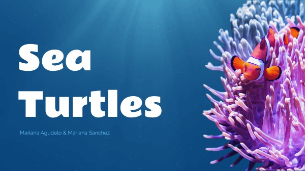 Sea Turtles | Genially