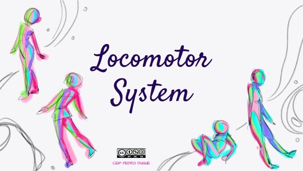 1. NS Level 2 LOCOMOTOR SYSTEM | Genially