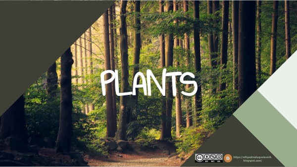 1. NS Unit 4 Plants | Genially