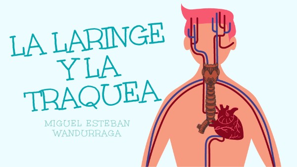 PRESENTACIÓN LARINGE Y TRAQUEA