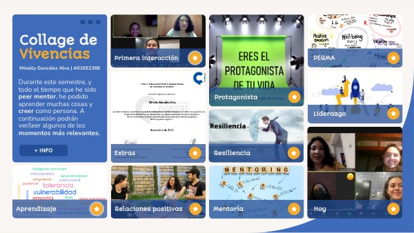 Tercer Entrega: Peer Mentro III