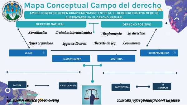 Mapa Conceptual Campo del derecho