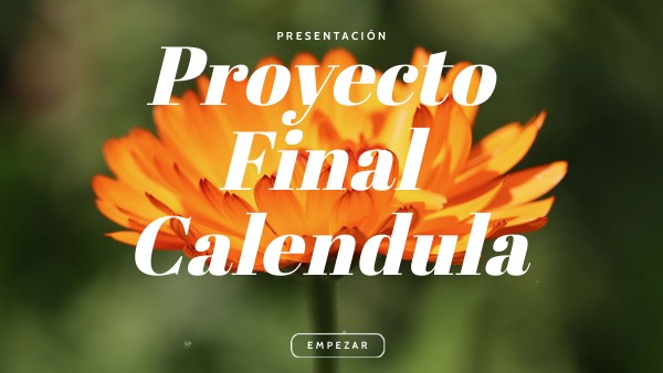 PROYECTO FINAL | Genially