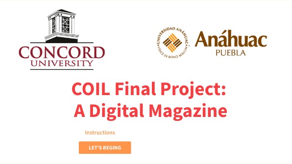 COIL: Final Project Instructions