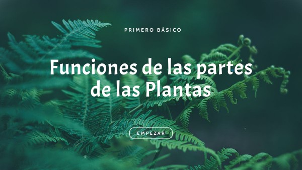 Funciones de las partes de las plantas