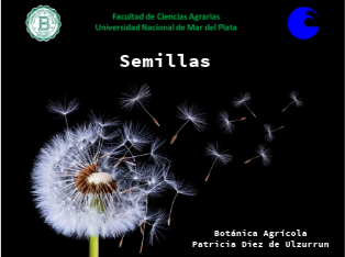 Semillas | Genially