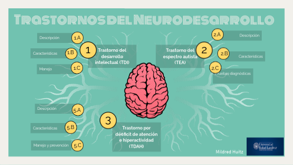 Trastornos del Neurodesarrollo | Genially