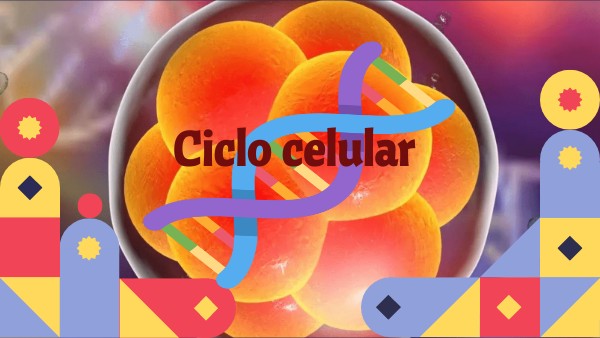 ciclo celular 2022 | Genially
