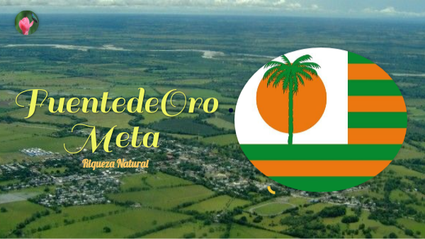 Proyecto FuentedeOro Meta