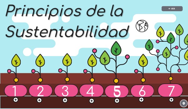 PRINCIPIOS DE LA SUSTENTABILIDAD | Genially