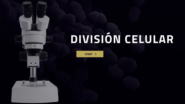 MICROPARTICLES PRESENTATION | Genially