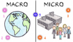 Diferencias Macro y Micro | Genially