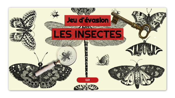 Jeu interactif sur les insectes | Genially