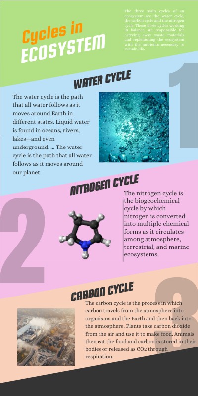 cycles in ecosystems