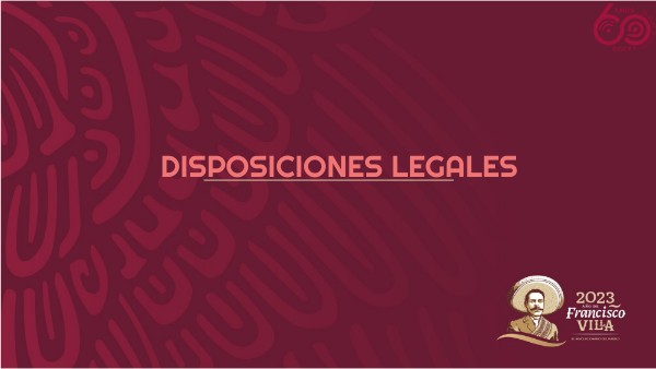 DISPOSICIONES LEGALES