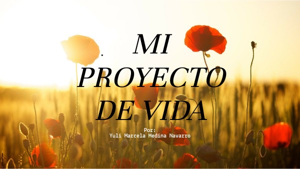 PROYECTO DE VIDA YULI SEMINARIO | Genially