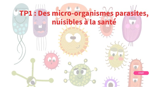 2nd Microbiote : TP1 "4" familles | Genially