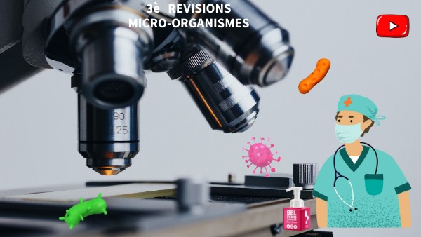 3è Révisions Microbes