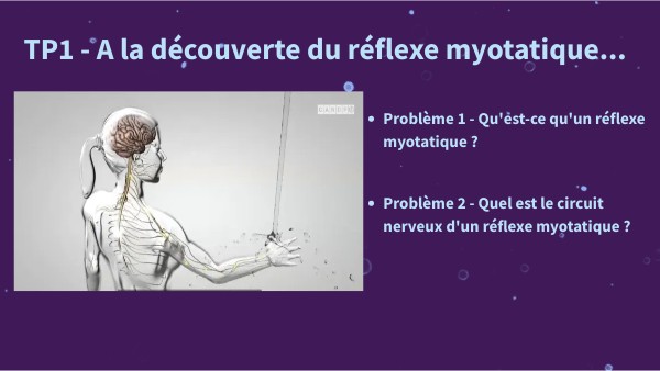 TP1 - A la découverte du réflexe myotatique | Genially