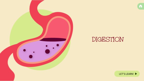 Digestion | Genially