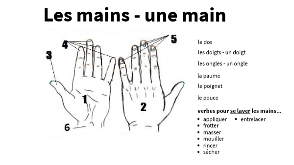 les mains
