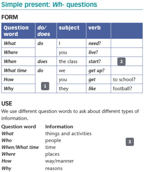Voyager W/H Questions in present simple | Genially