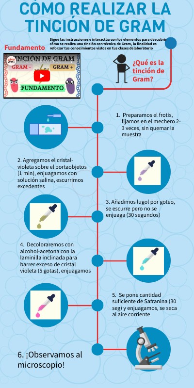 TINCION DE GRAM | Genially