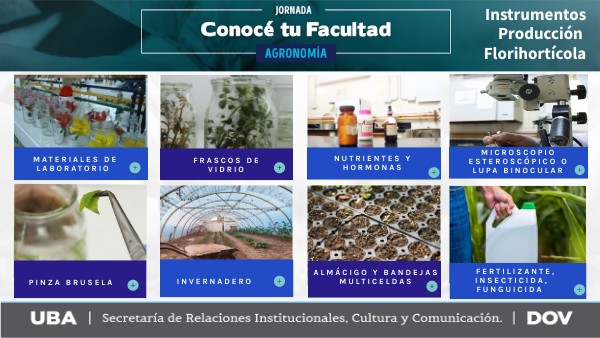 INSTRUMENTOS Prod. Florihortícola | Genially