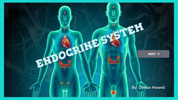 Endocrine System by Donna Howell | Genially