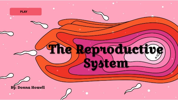 Reproductive System by Donna Howell | Genially