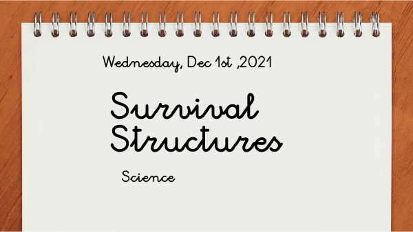 Survival structure